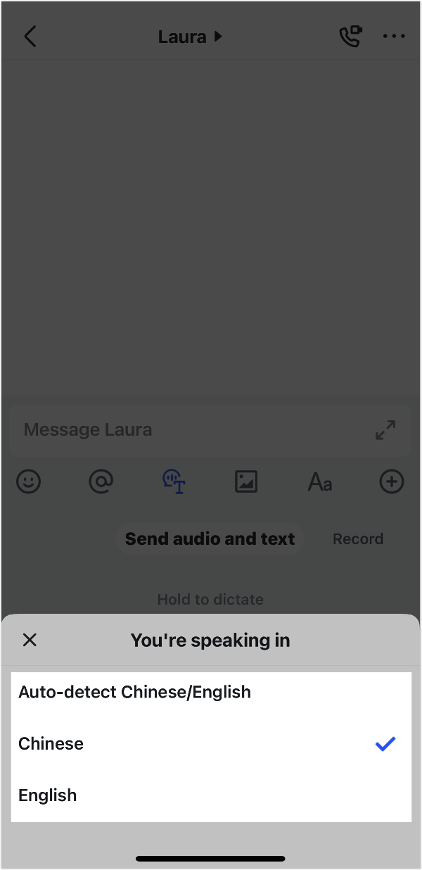 Send voice messages