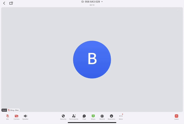 Highlights of using Feishu Meetings on iPad